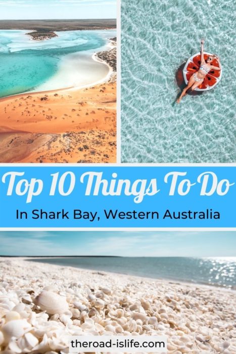 Top 10 Things To Do In Shark Bay, Western Australia - The Road Is Life