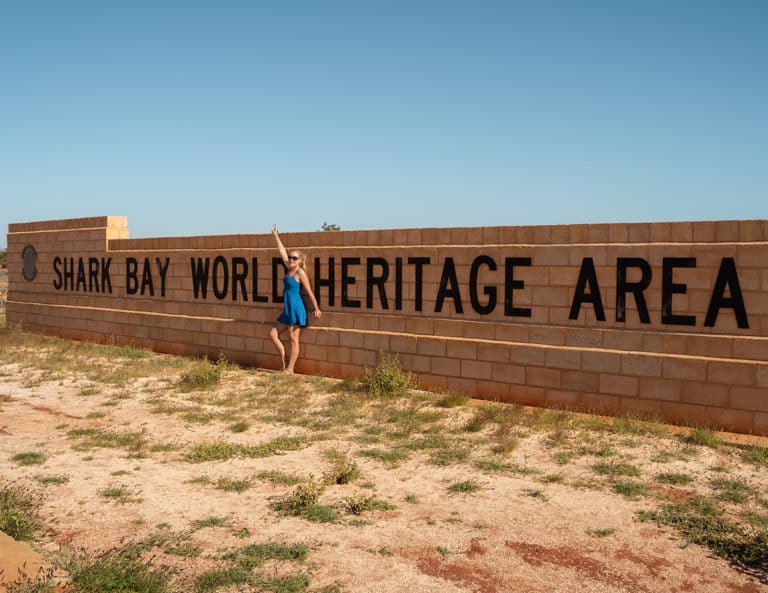 Top 10 Things To Do In Shark Bay, Western Australia - The Road Is Life