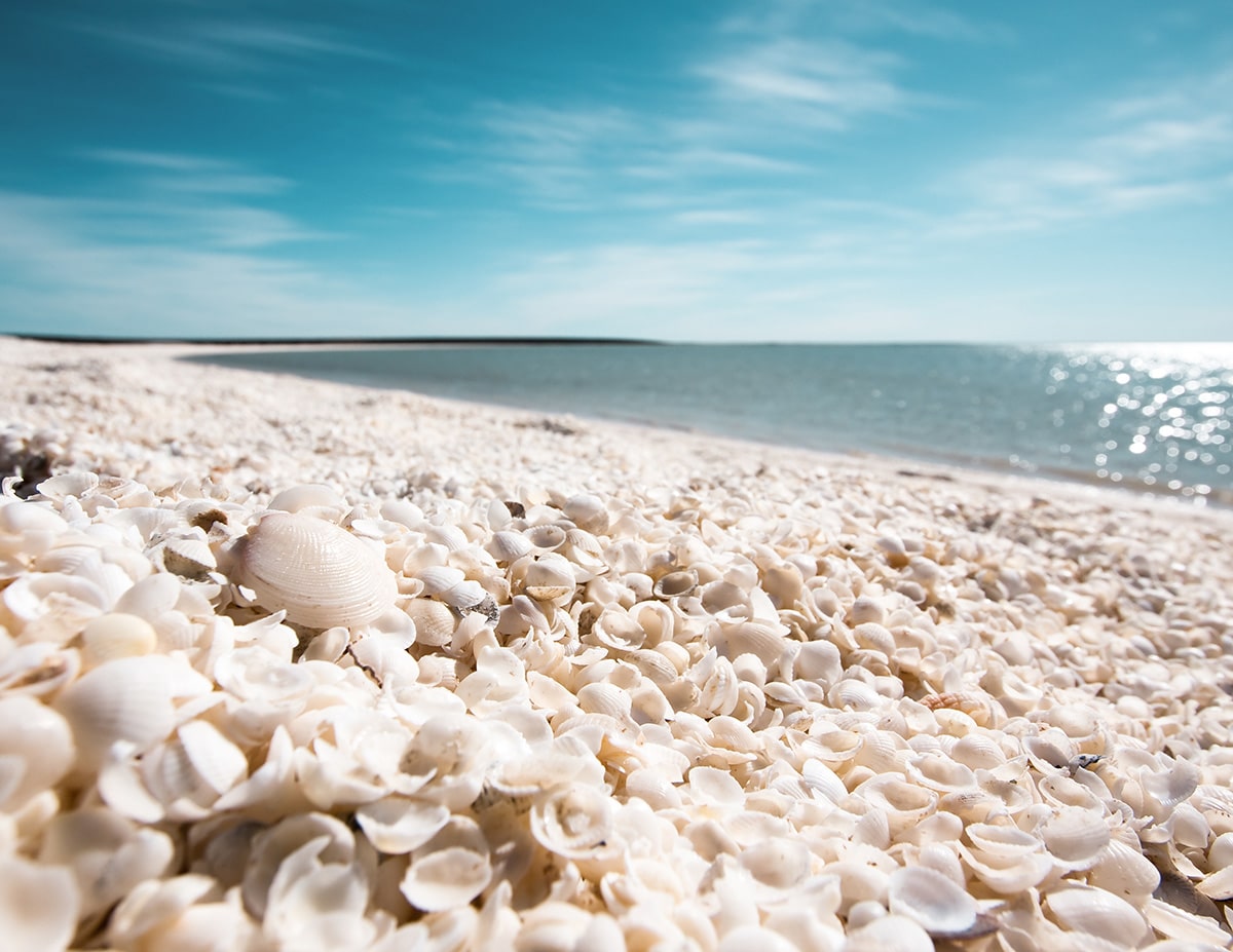 Perth to Exmouth Road Trip - An Epic 10 Day Itinerary
