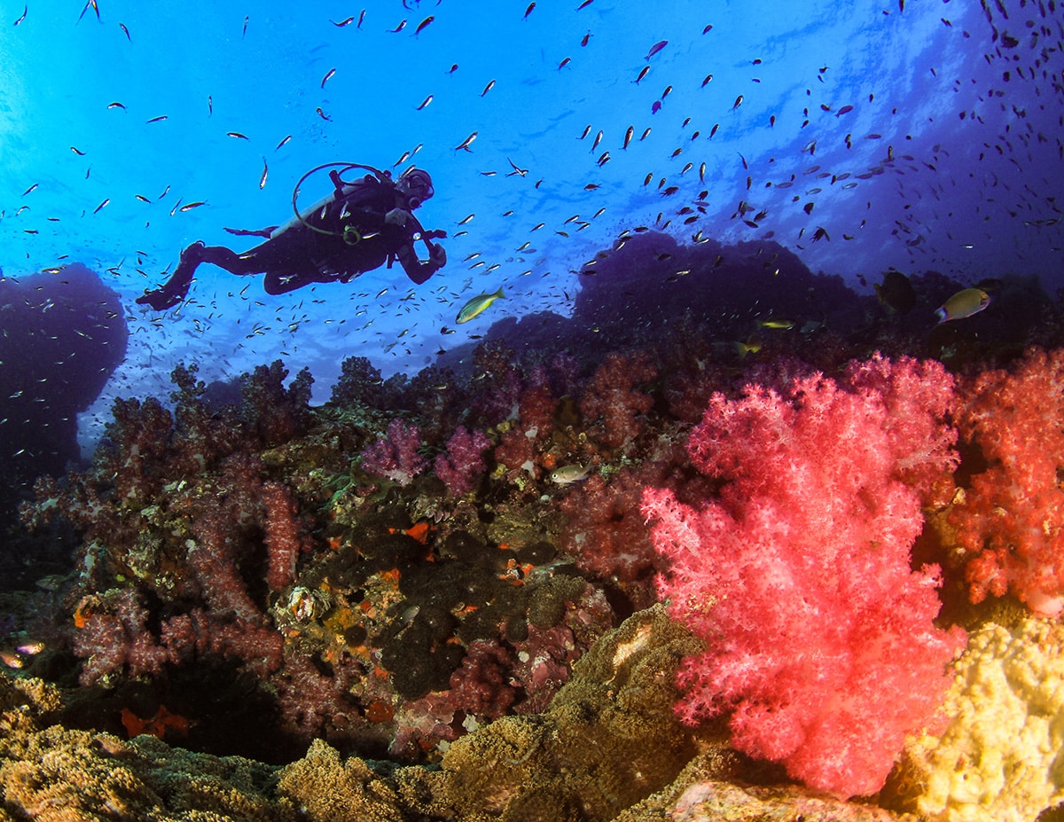 Top 10 Things to do in Coral Bay, Western Australia