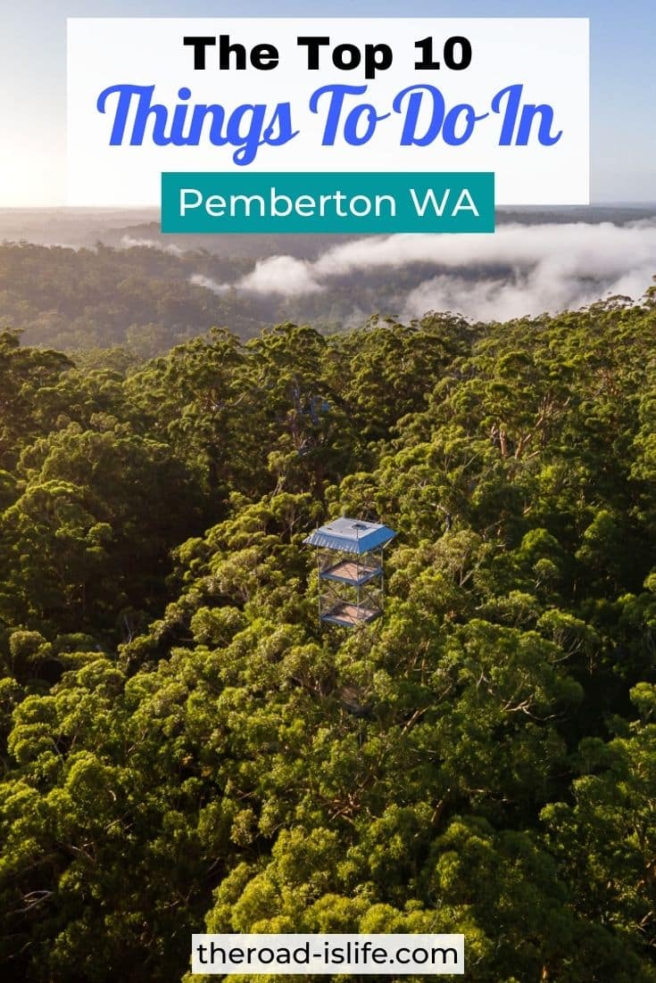 10 Best Things To Do In Pemberton W.A. - The Road Is Life