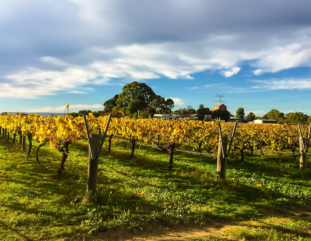 15 Exciting Day Trips From Perth - The Road Is Life