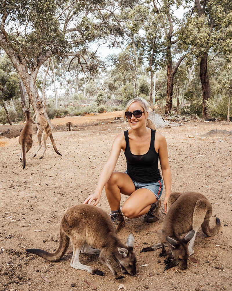 21 Stunning Instagram Spots in Perth - The Road Is Life