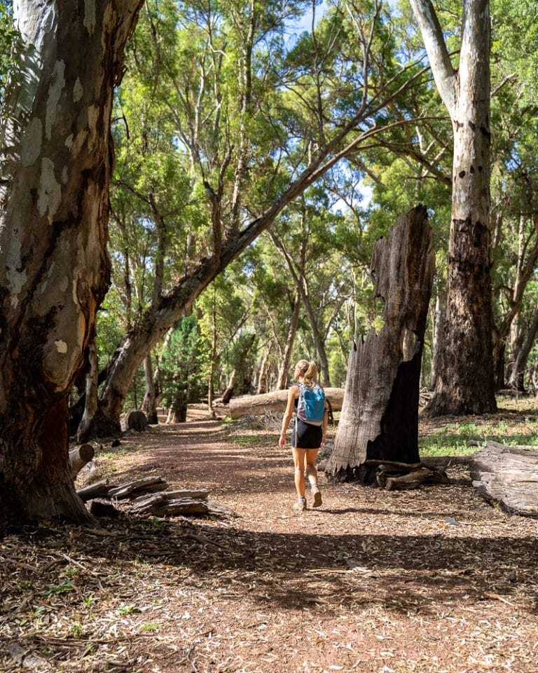 Perth to Adelaide Road Trip - The Best Route and Highlights