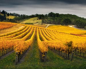 3 Day Adelaide Itinerary - The Best Things to See and Do