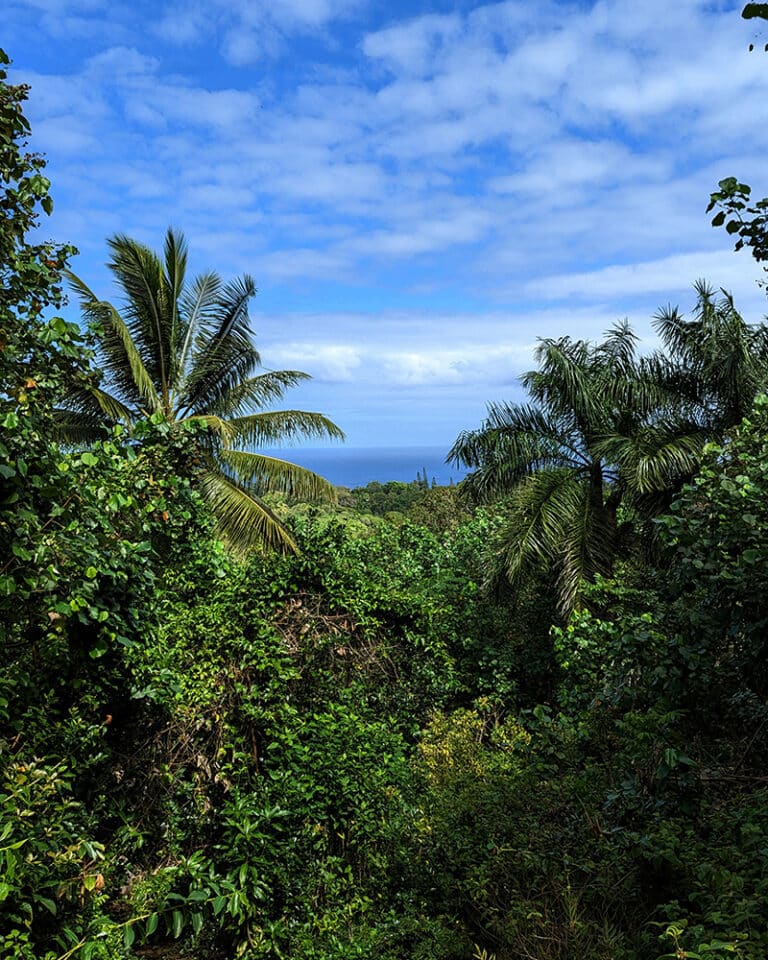 31 Best Road to Hana Stops - Complete Guide and Itinerary (2025)