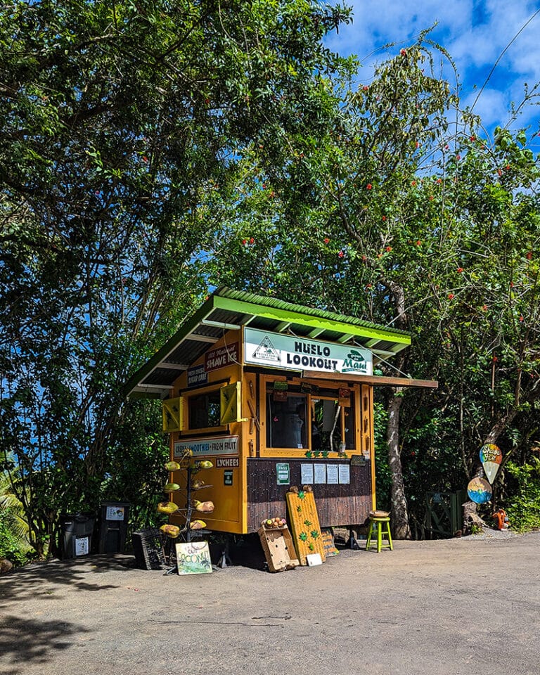 31 Best Road to Hana Stops - Complete Guide and Itinerary (2025)