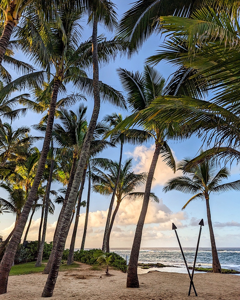 25 Beautiful Instagram Spots On Maui + Map With Exact Locations