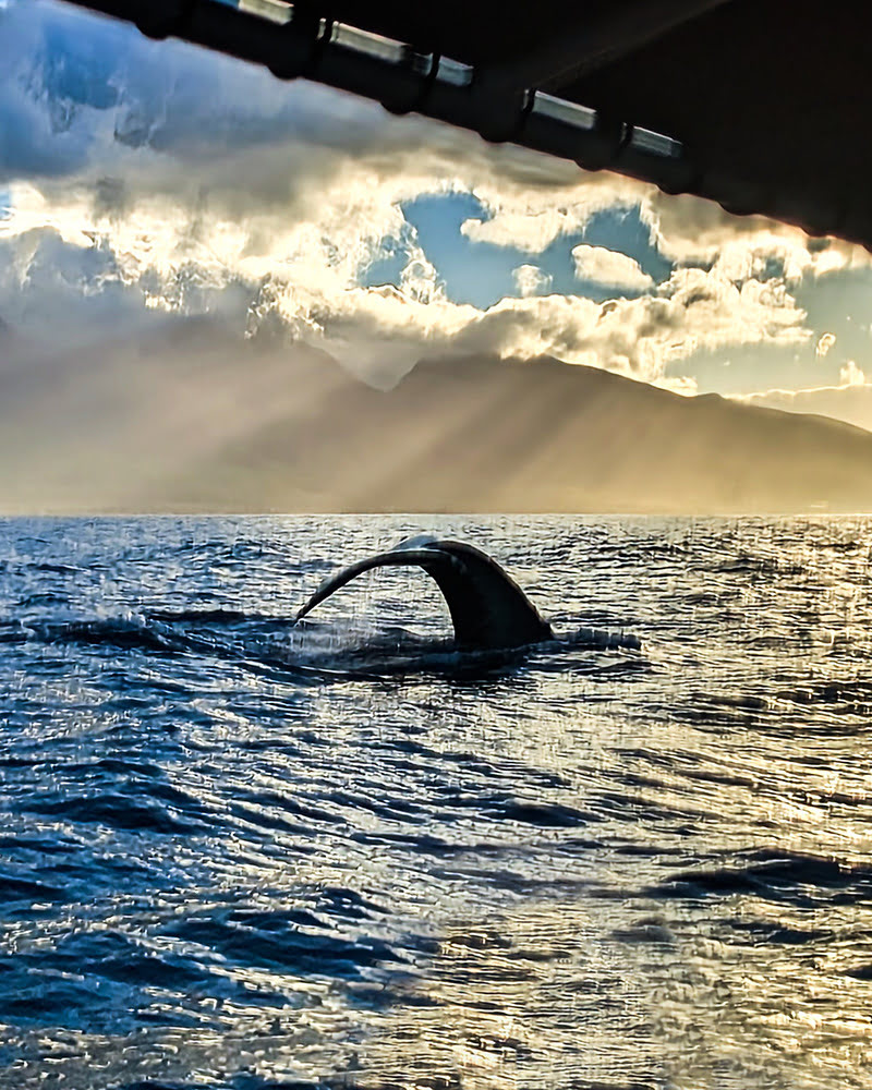 25 Beautiful Instagram Spots On Maui + Map With Exact Locations