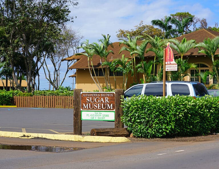 The Ultimate Maui Bucket List - 35 Iconic Things to do in Maui